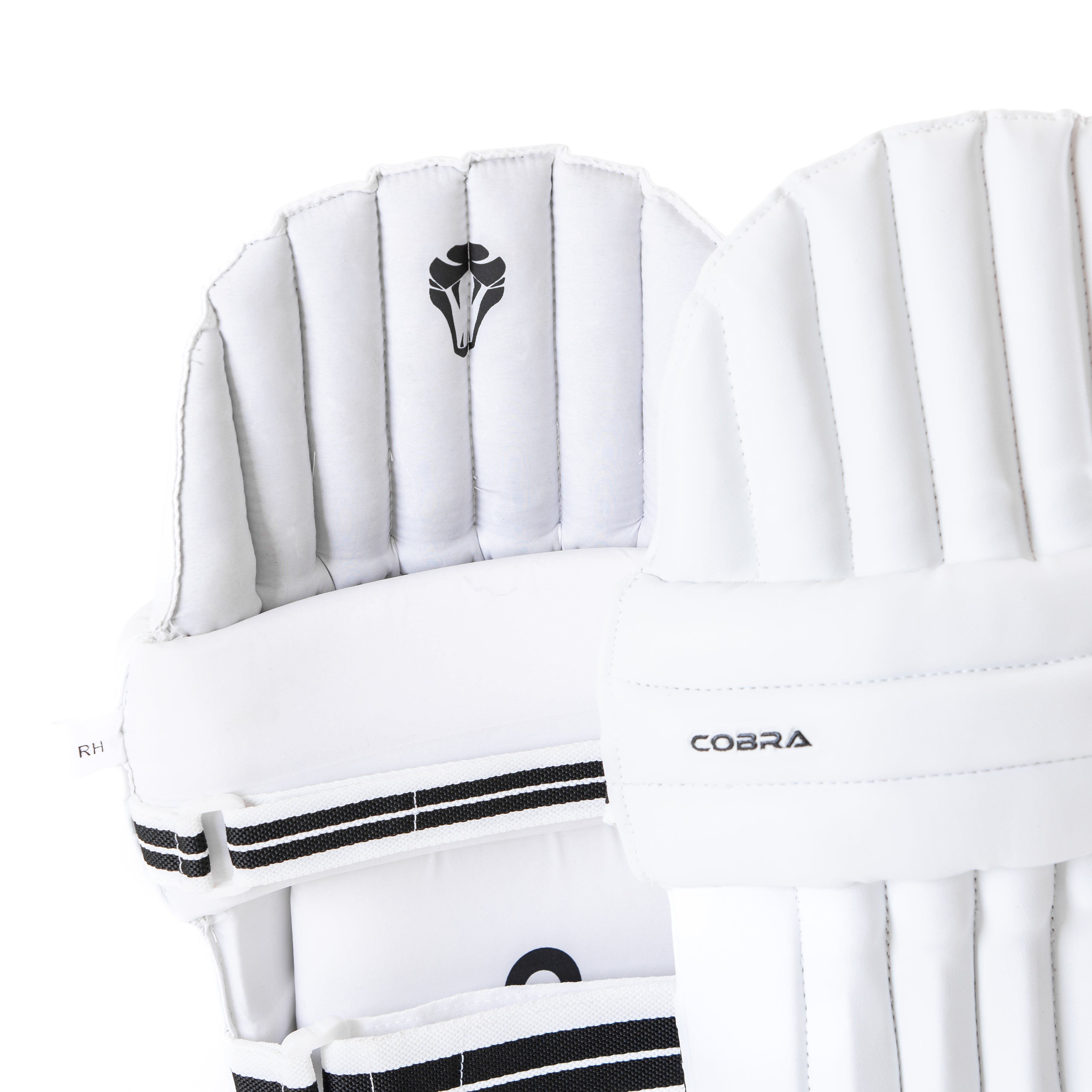 CLUB EDITION JUNIOR BATTING PADS - Affordable and Flexible Cricket Leg ...