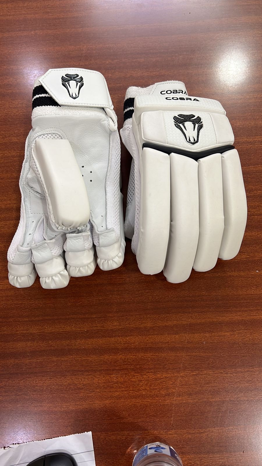CLUB EDITION JUNIOR BATTING GLOVES - Affordable and Flexible Cricket ...